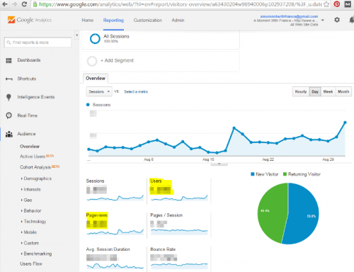 Google Analytics: The Stats You Need! • A Moment With Franca