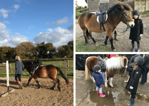 Meeting Lovely Therapy Ponies With My Little Pony • A Moment With Franca