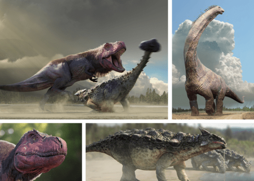 Dinosaurs In The Wild - A Surreal Experience • A Moment With Franca