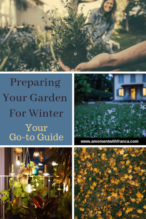 Preparing Your Garden For Winter – Your Go-to Guide • A Moment With Franca