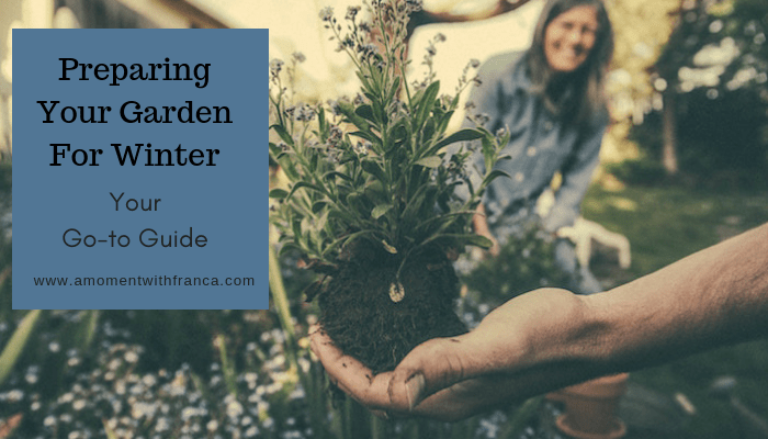 Preparing Your Garden For Winter – Your Go-to Guide • A Moment With Franca