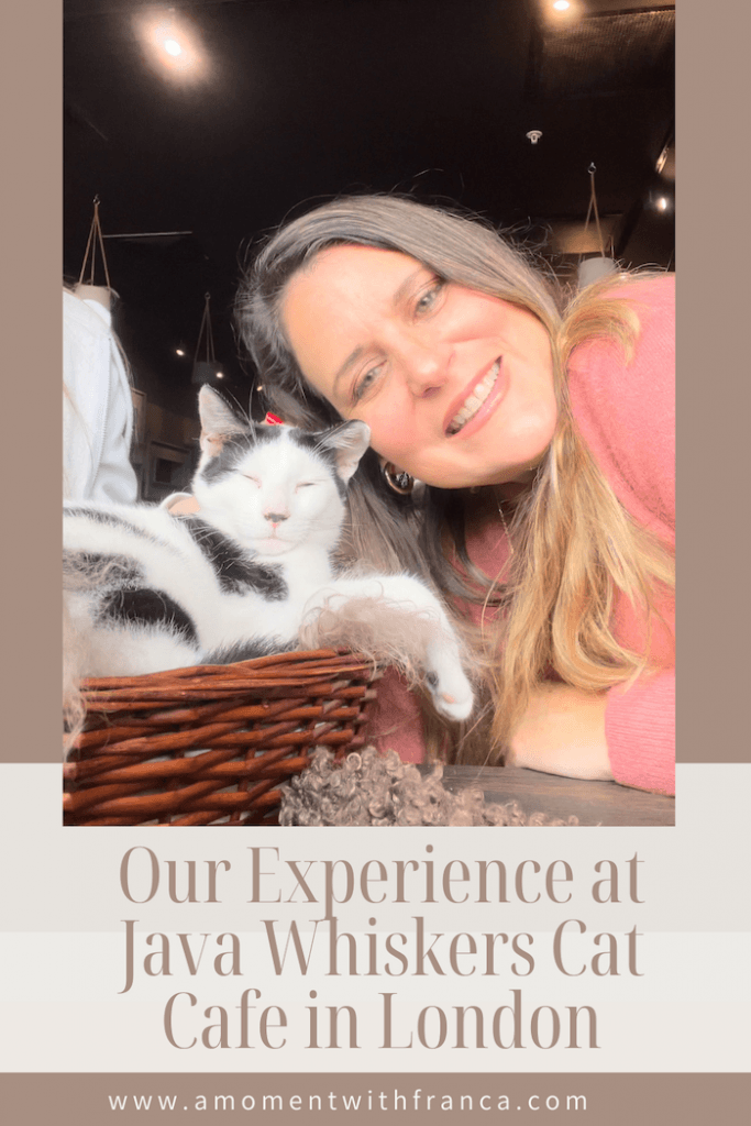 Java Whiskers Cat Cafe in London: Our Experience • A Moment With Franca