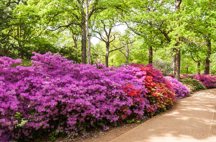 10 Beautiful London Parks and Gardens to Visit in Spring • A Moment ...